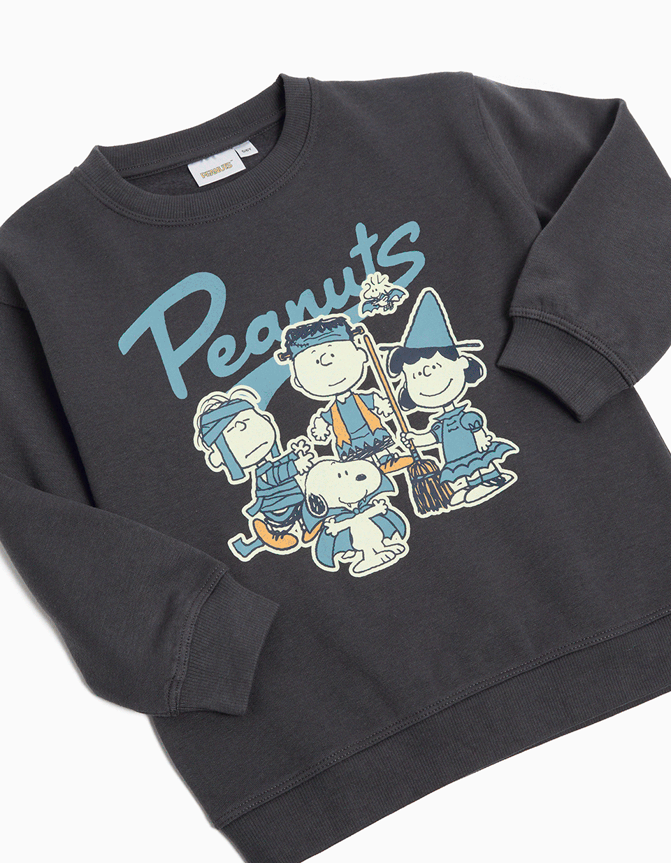 Sweatshirt 'Peanuts' Brilho no Escuro, Bebé Menino, Cinzento Escuro | MO Online
